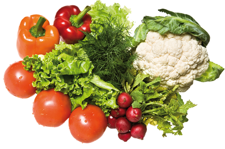 Schmitts Gemüsekiste Heidelberg